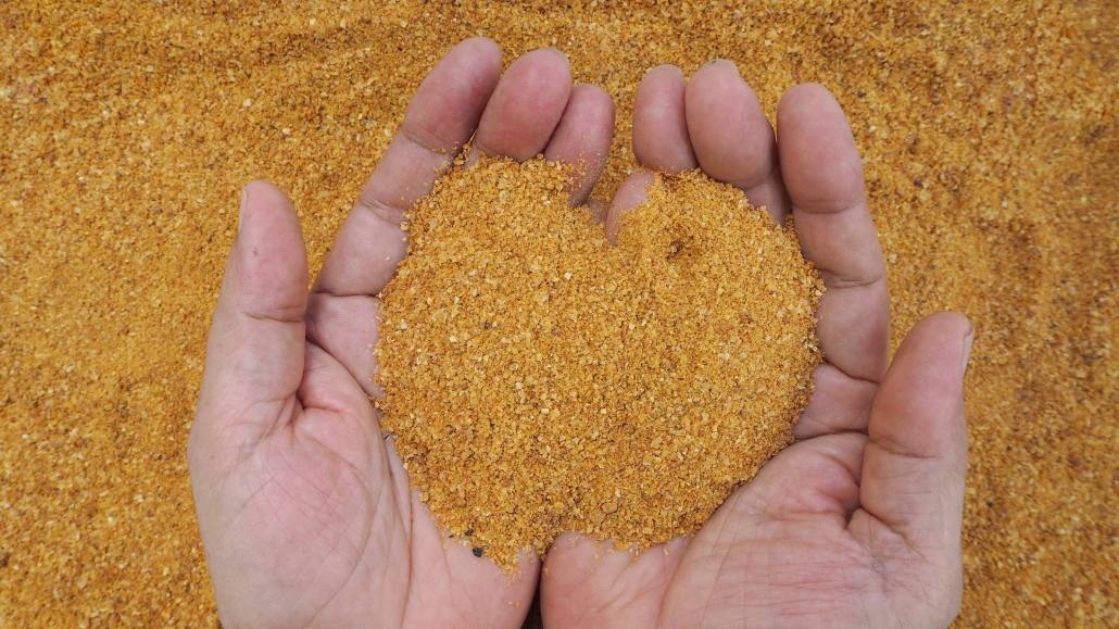 DDGS – S.Thaicharoenporn Commercial Co., Ltd.